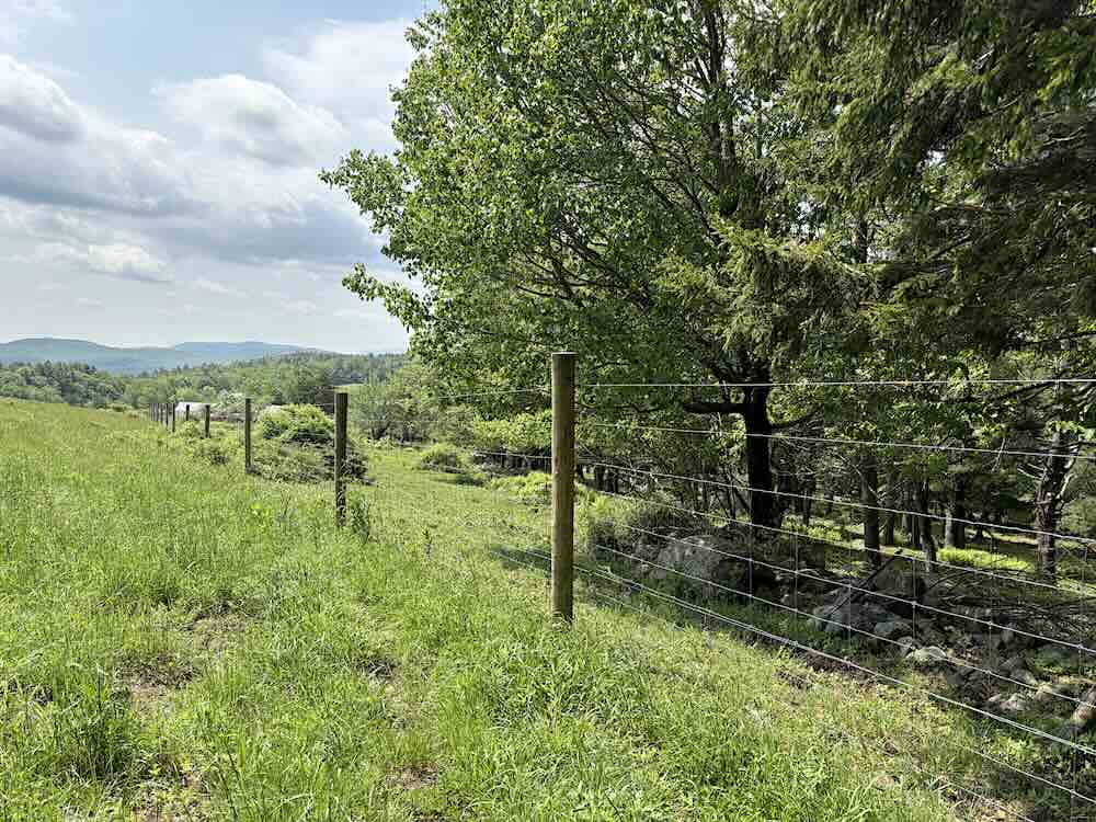 Fencing Project for Bison – Yankee Farmer's Market