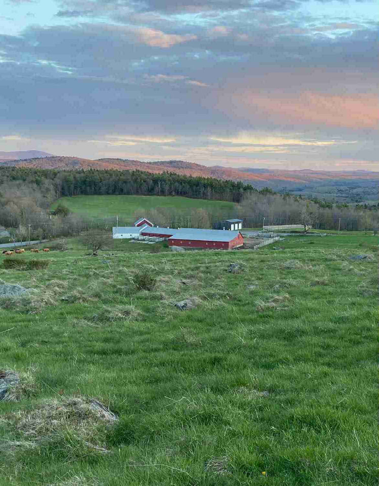 Yankee Farmer's Market Bison Meat, Grass Fed Beef, Pork and Poultry